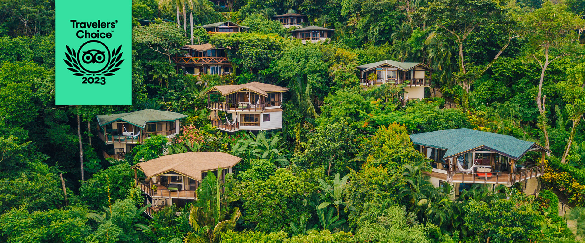 Tulemar Resort Hotel Shines in 2023 TripAdvisor Awards! | Tulemar ...