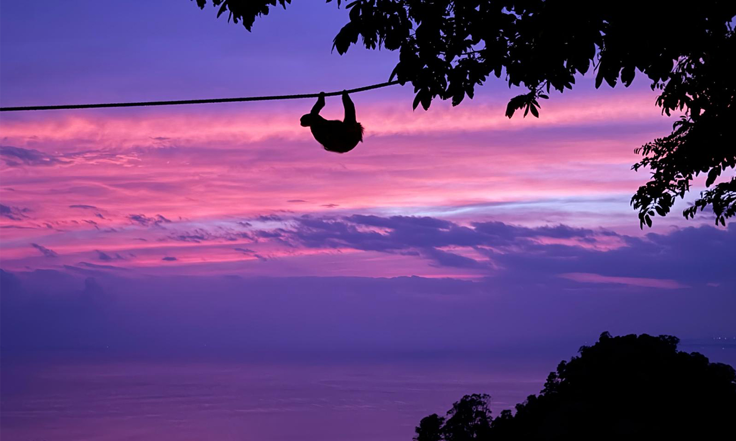 Tulemar Resort | Official Website for Luxury Villas & Beachfront Stays